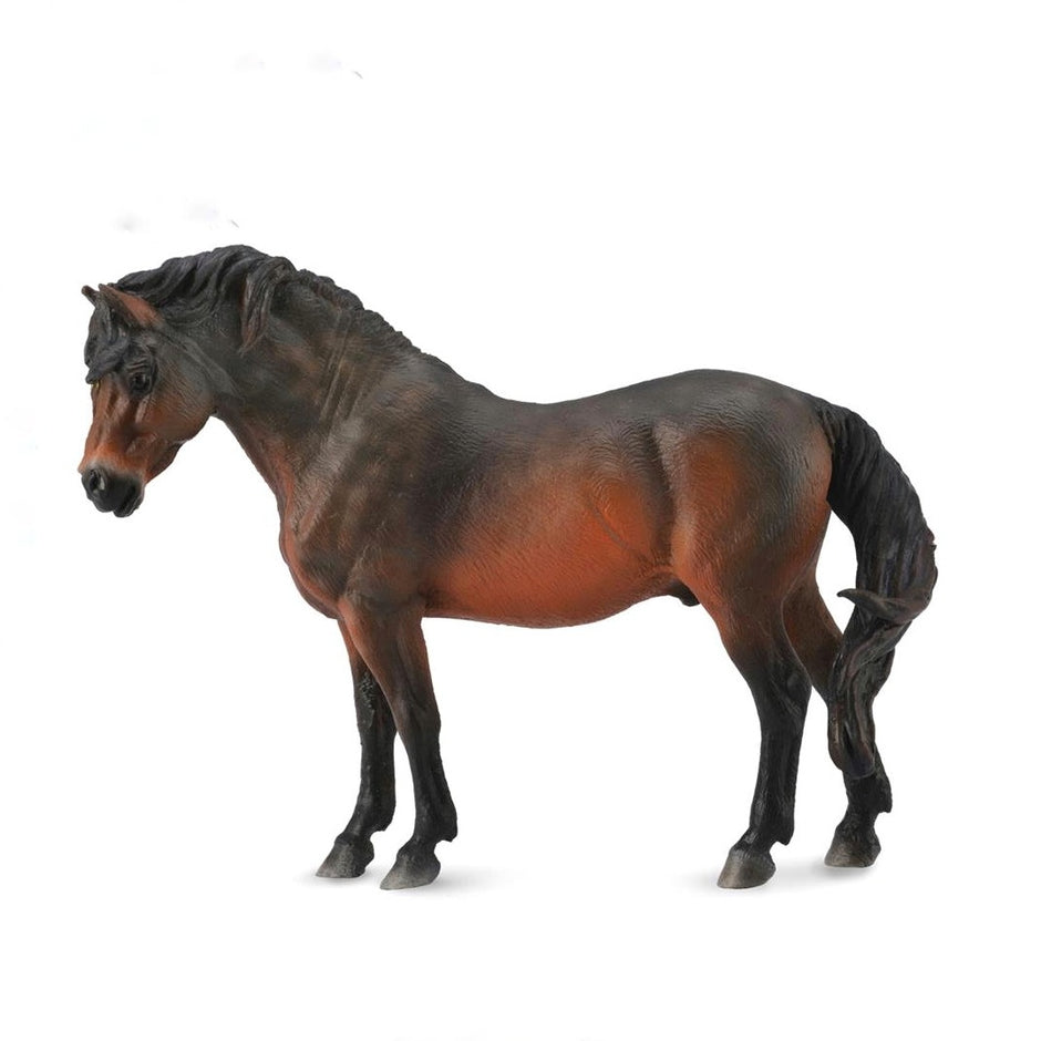 CollectA Figurines 1:20 – My Model Horse